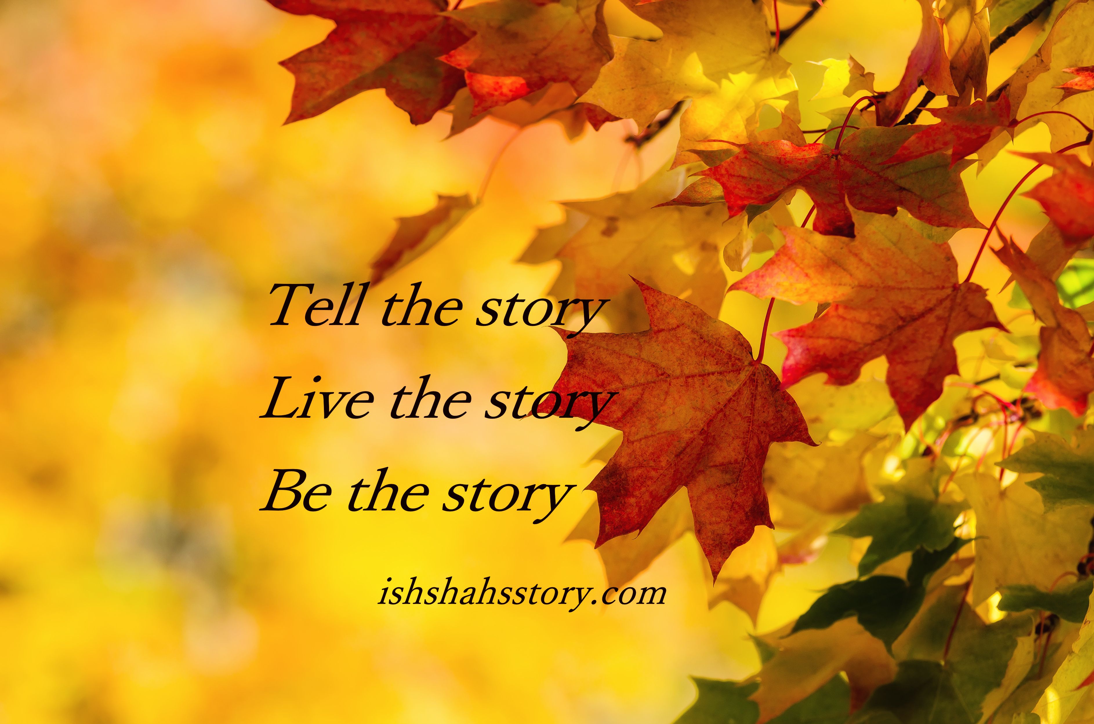 About Ishshah’s Story – Ishshah's Story