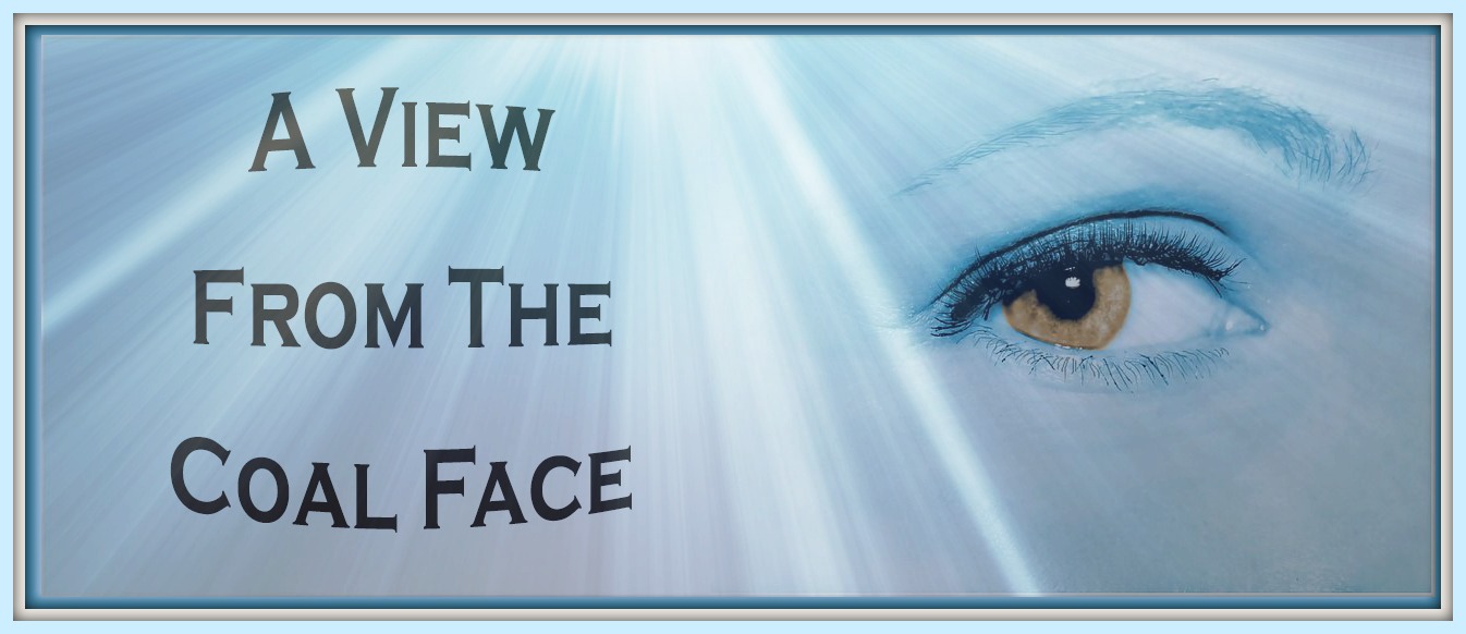 A View From The Coal Face – Ishshah's Story