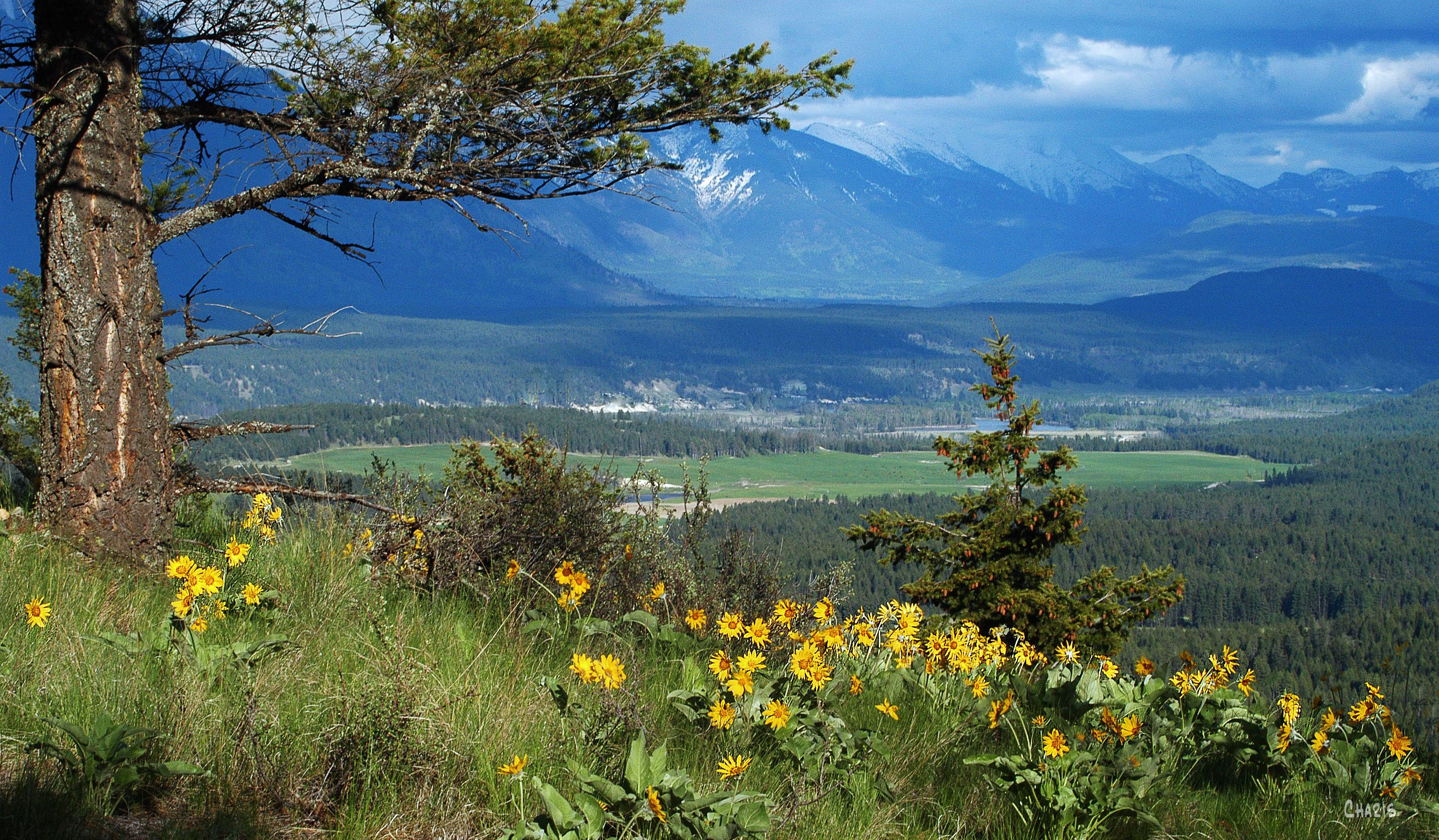 Behold – Ishshah's Story